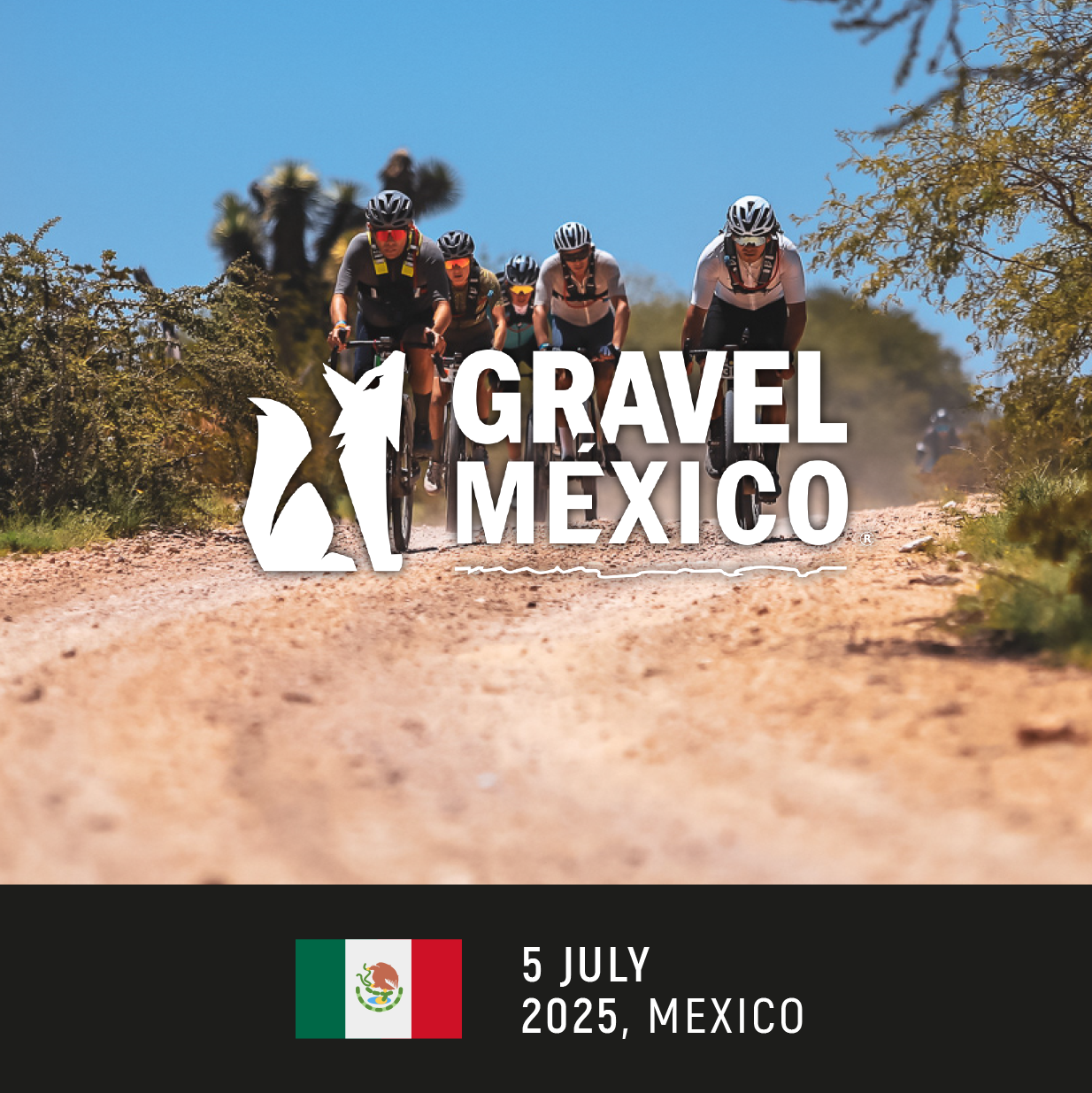 Gravel Earth Series - Gravel Earth Series